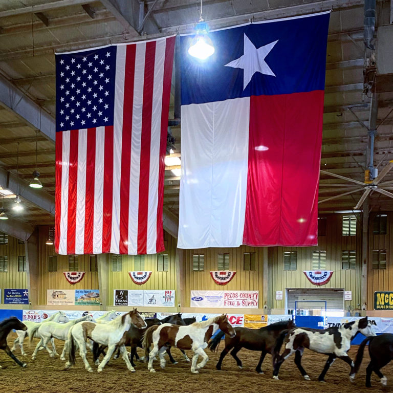 Comanche Springs Rodeo – Comanche Springs Rodeo